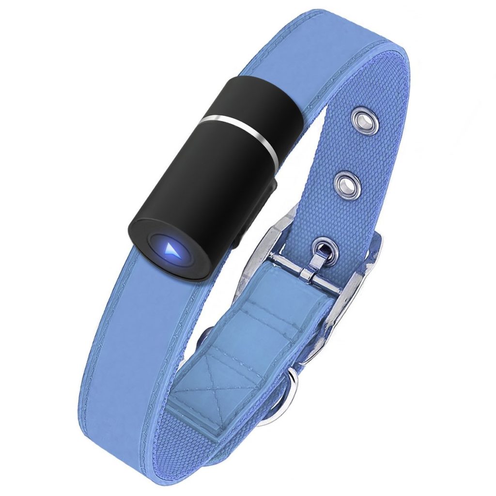 Pod Animal Tracker - Keep Tabs on Your Fur Baby Wherever They Roam